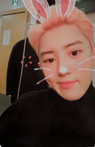 Chanyeol Ears