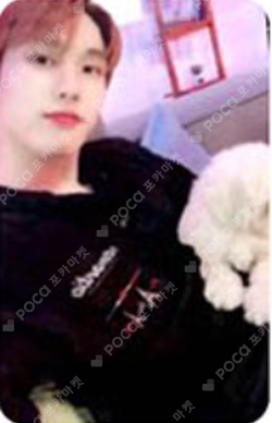 Pocamarket, THE BOYZ JACOB Chase Withdrama 3 K-pop Photocard