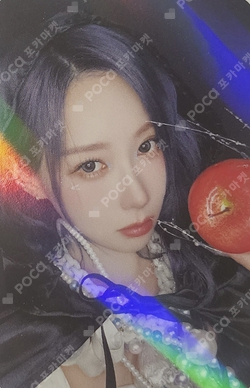 Pocamarket, DREAMCATCHER HANDONG VirtuouS POCA ALBUM MAKESTAR K-pop ...